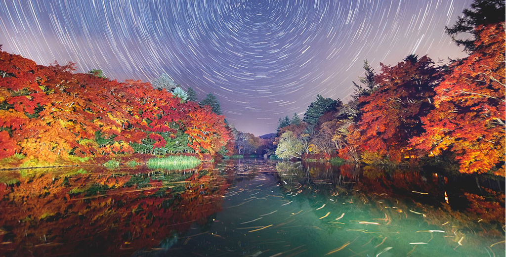 Fall | Visit Karuizawa | Welcome to a beautiful village in Japan | Near ...